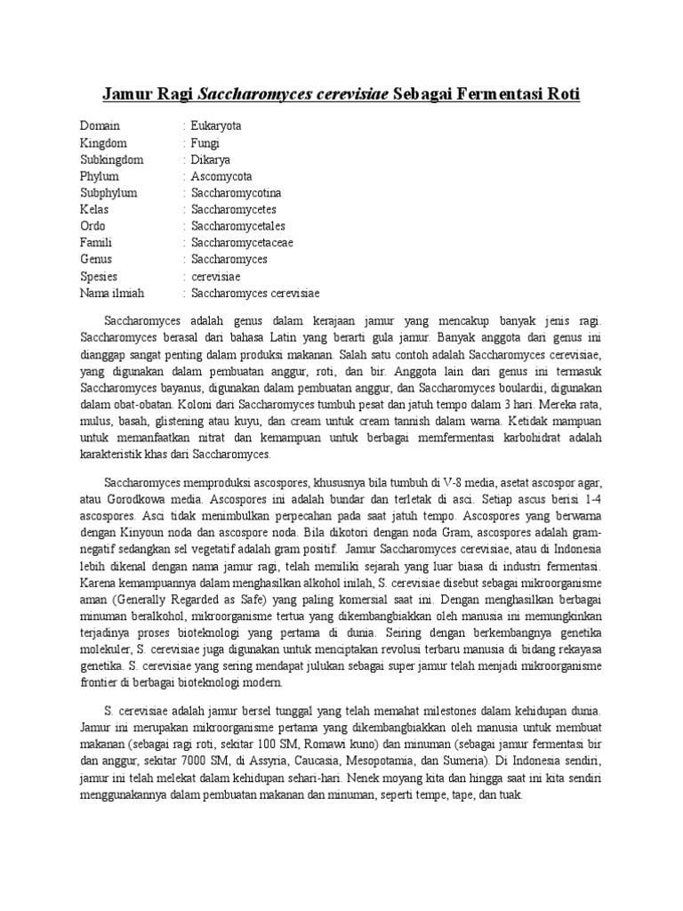 Jamur Ragi Saccharomyces Cerevisiae Sebagai Fermentasi Roti | PDF