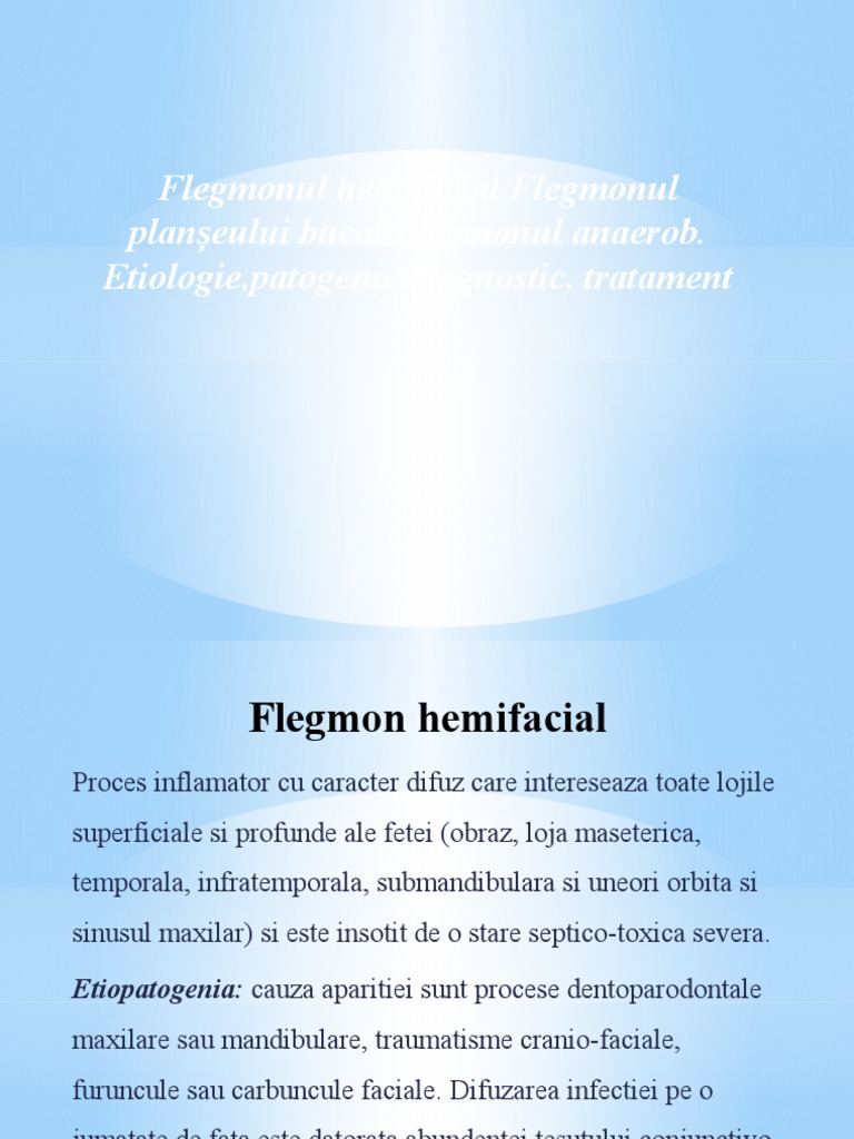 Flegmon | PDF