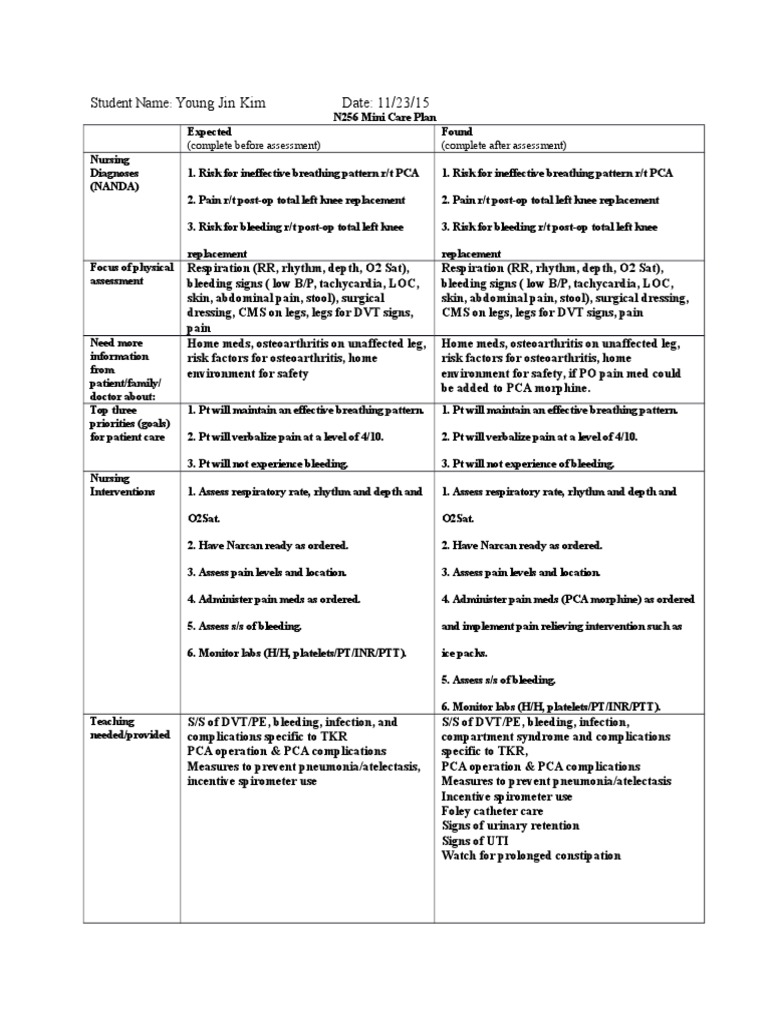 Mini Care Plan wk8 | PDF
