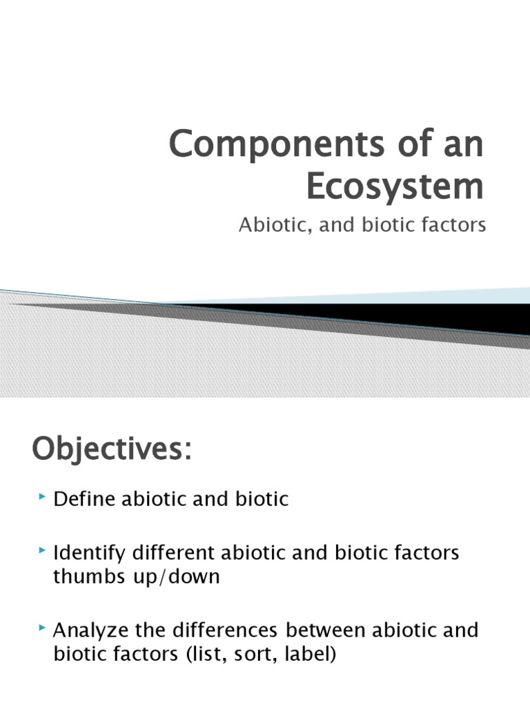 Components of An Ecosystem-Lesson 2 Power Point.1 | PDF