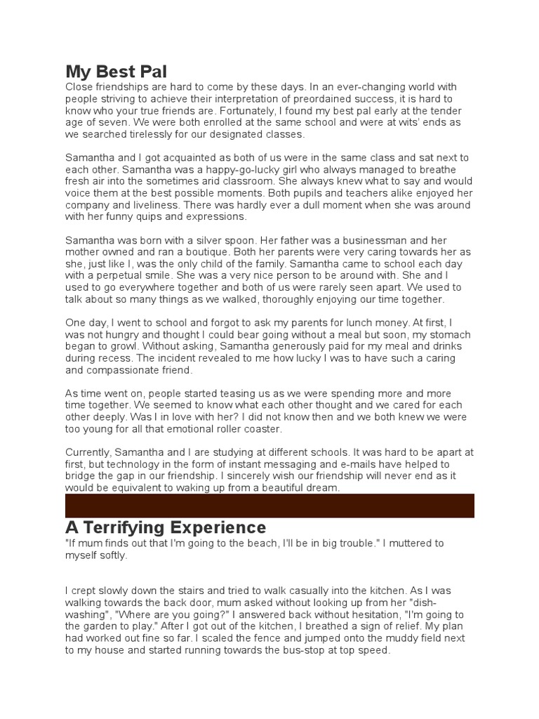 My Best Pal | PDF | Narration | Mind