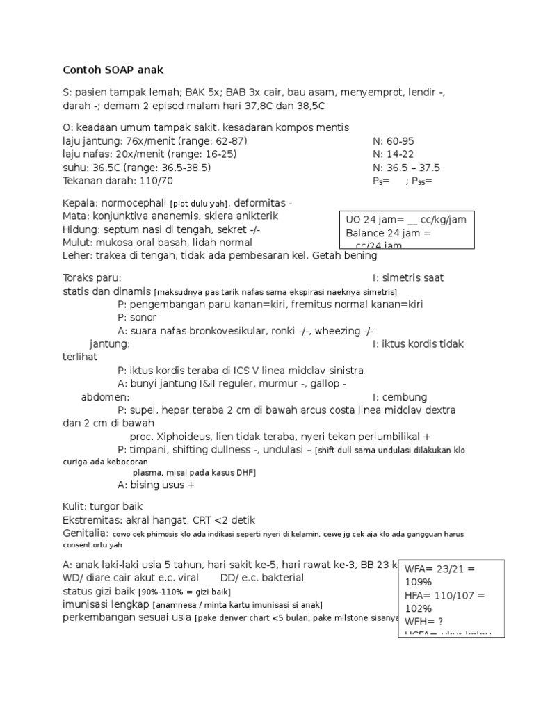 Contoh SOAP Anak | PDF