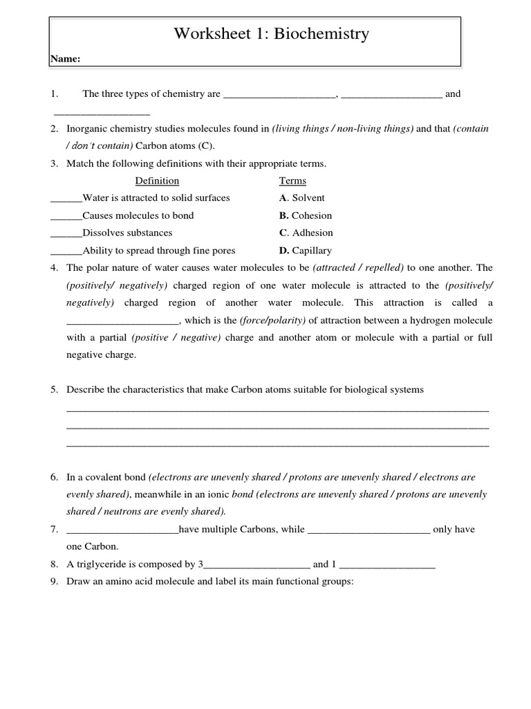 Worksheet 1: Biochemistry: Name | PDF | Cell (Biology) | Dna