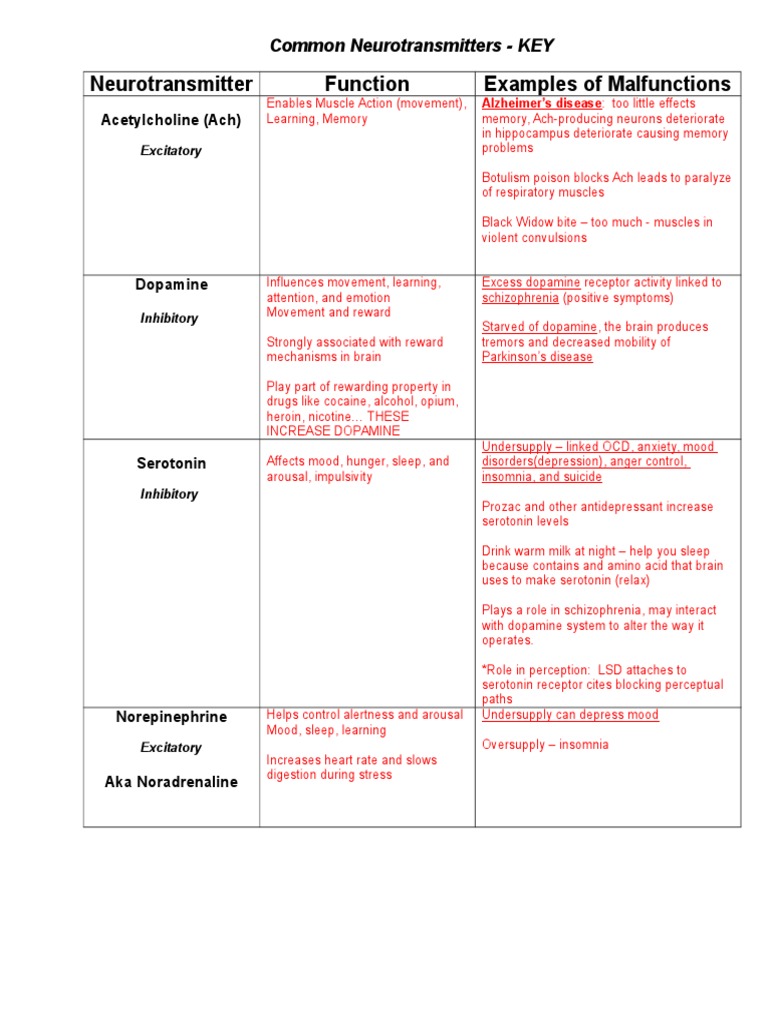 Neurotransmitters Chart Neurotransmitter Acetylcholine