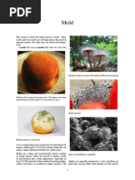 Humidity Control Design Guid - ASHRAE | PDF | Humidity | Relative Humidity