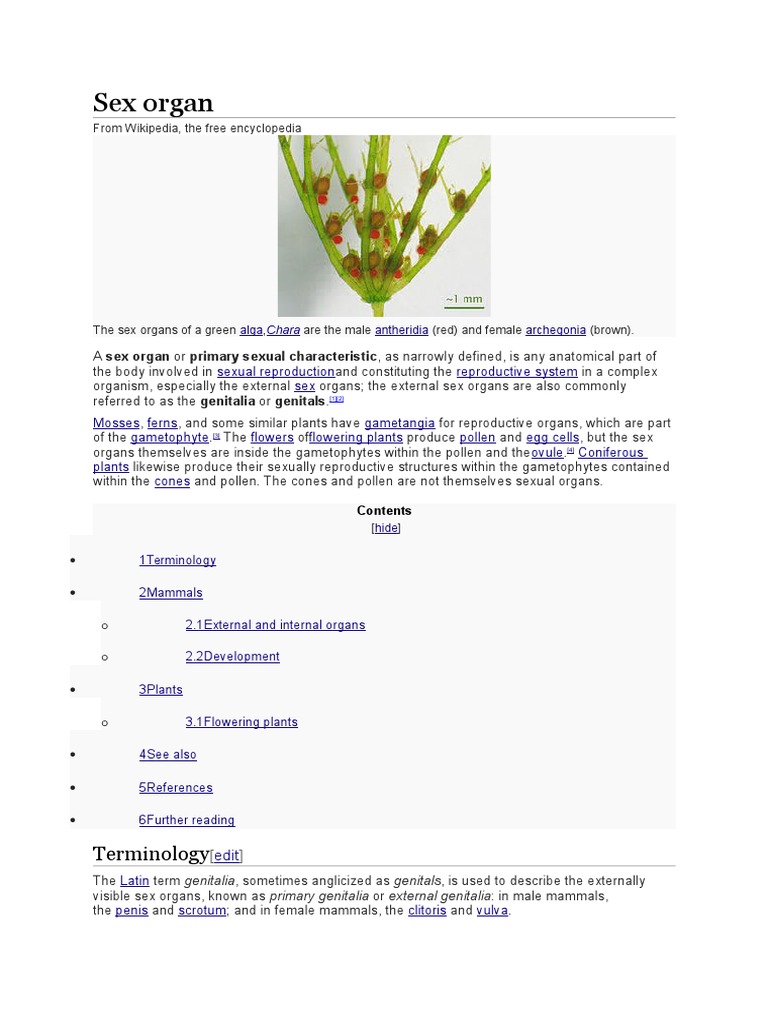 Sex Organ: Terminology | PDF | Sex Organ | Clitoris