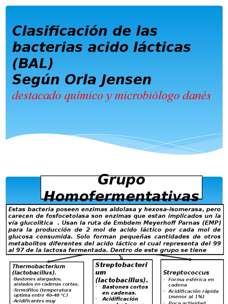 Clasificación de Las Bacterias Acido Lácticas (BAL | PDF | Ácido ...