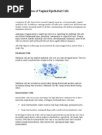 Triadan Tooth Numbering System | PDF