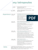 Professional Experience Overview | PDF