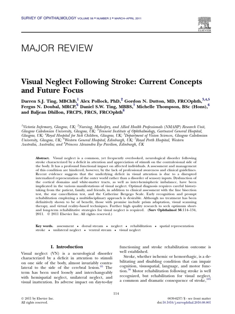 Visual Neglect | PDF | Parietal Lobe | Attention