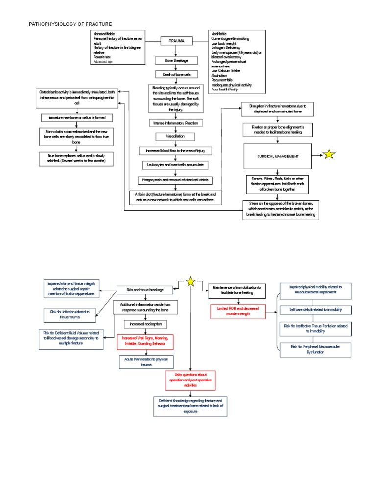 Pathophysiology of Fracture | Bone | Major Trauma | Free 30-day Trial ...