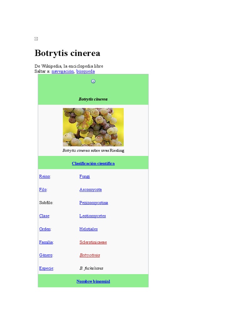 BOTRYTIS | PDF | Bebidas alcohólicas | Vitis