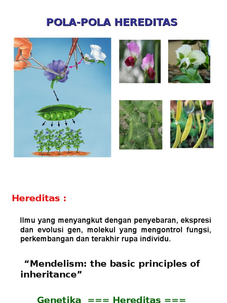 Bab 5 POLA-POLA HEREDITAS | PDF