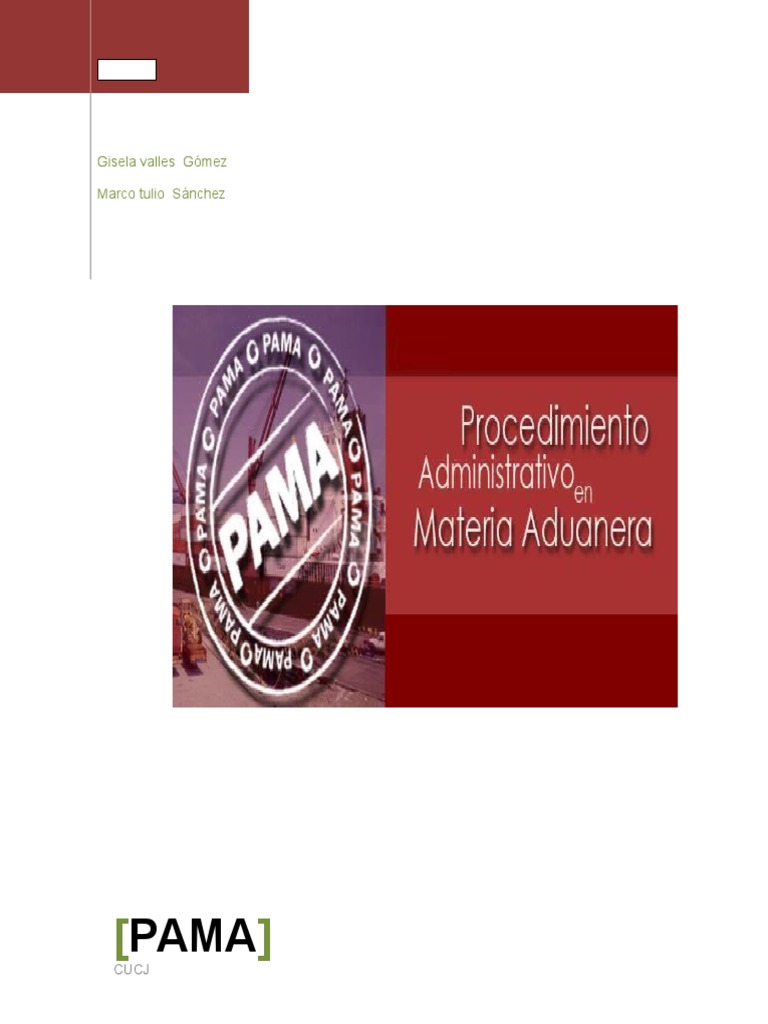 Pama Trabajo Aduanero | PDF | aduana | Arancel