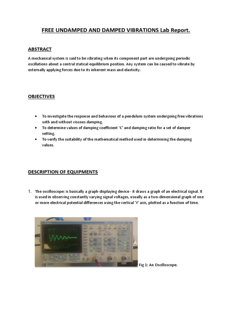 Vibrations Lab Report | Download Free PDF | Weighing Scale | Physics