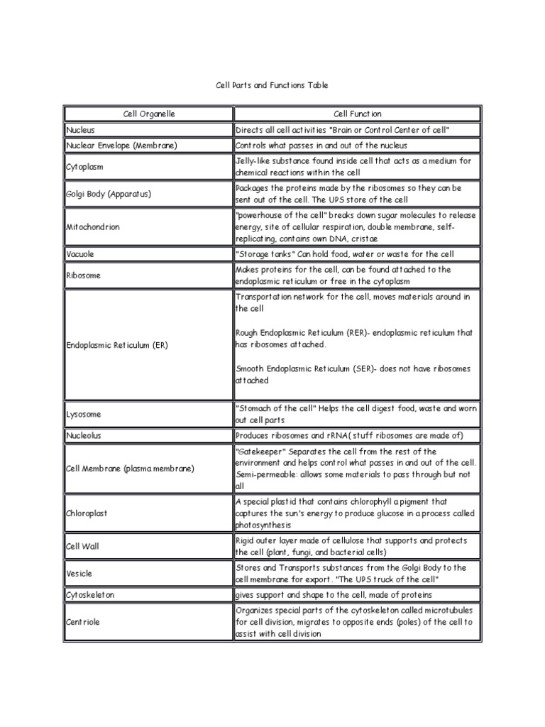 Cell Parts and Functions Overview | PDF | Meiosis | Mitosis