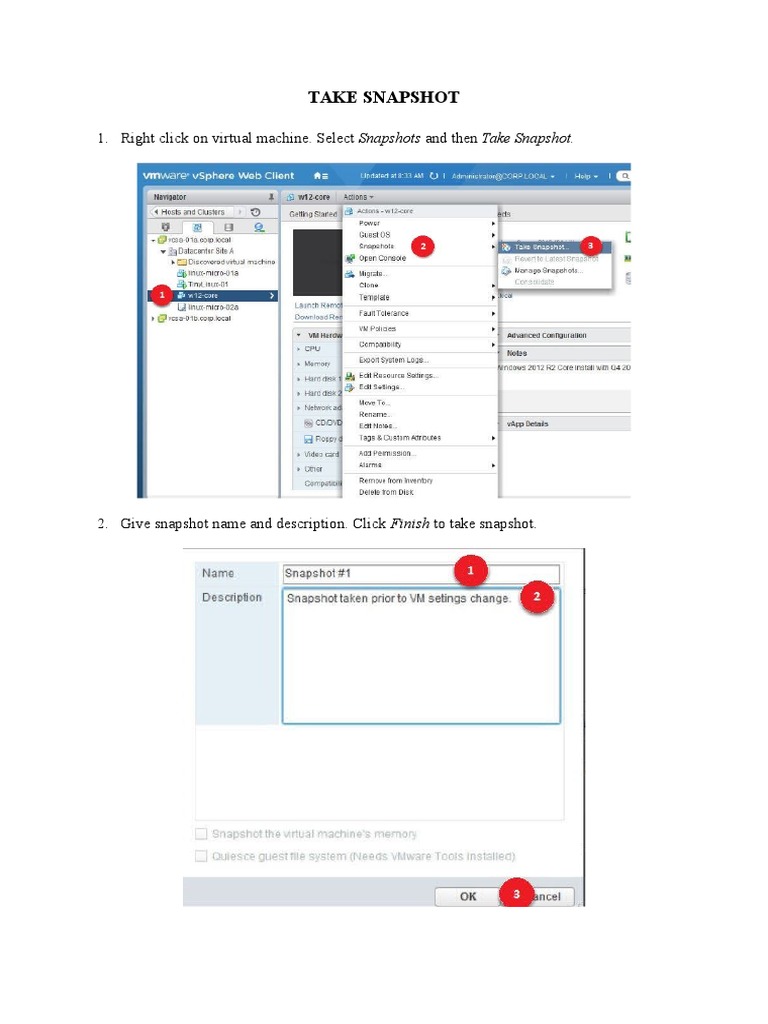 Taking Snapshots in VMware | PDF