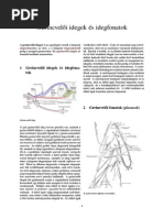 A Gerinc Anatómiája | PDF
