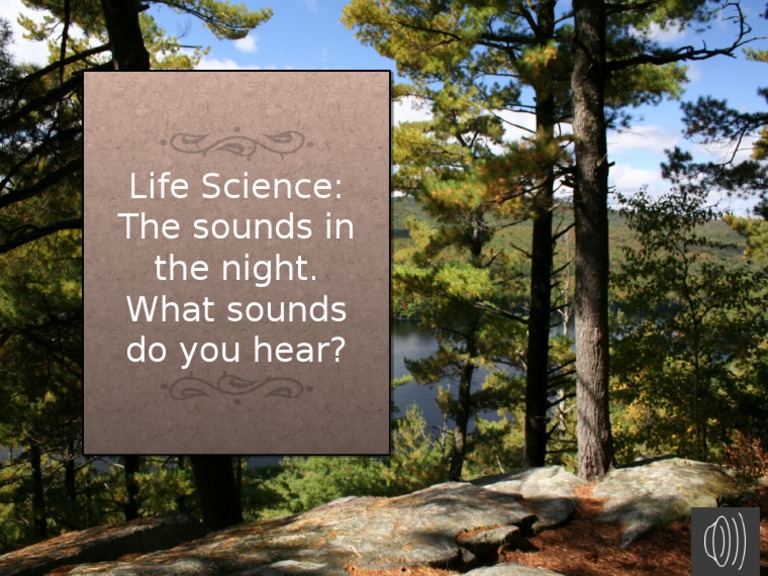 Night Sounds in Life Science | PDF