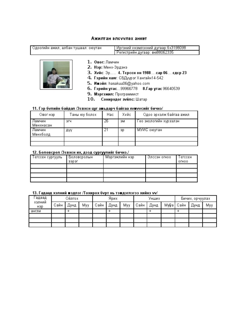 Ajliin Anket | PDF