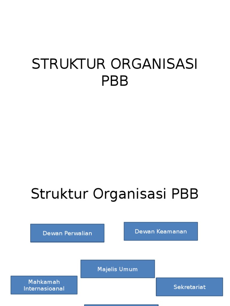 Struktur Organisasi PBB | PDF