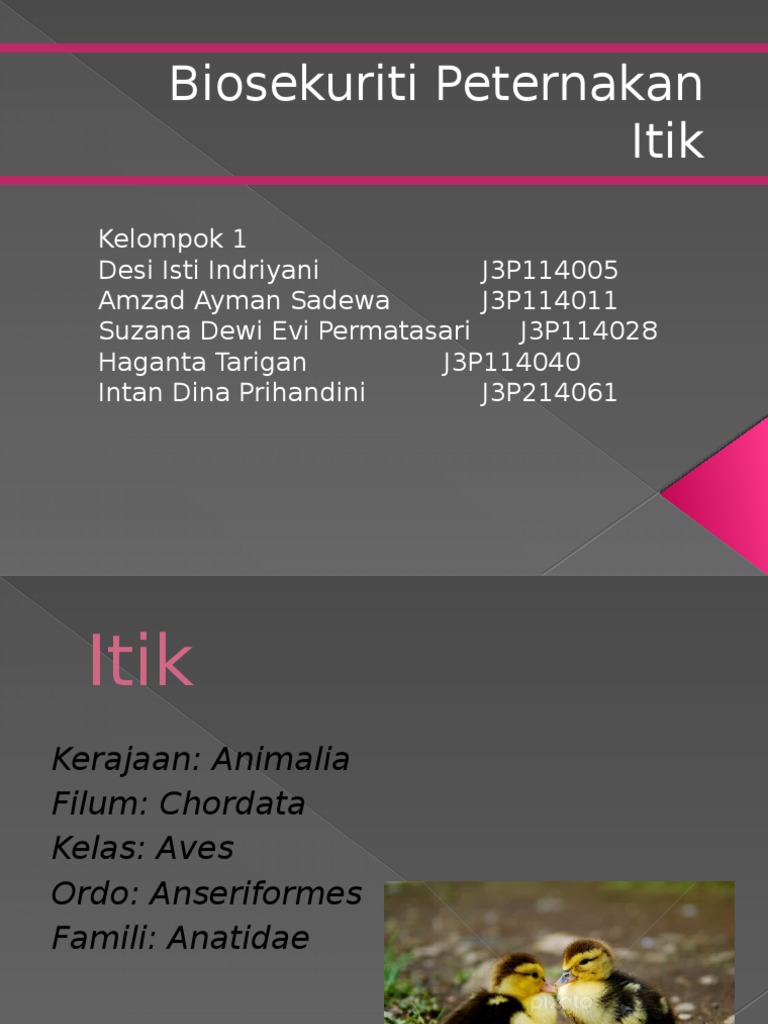 Biosekuriti Peternakan Itik | PDF
