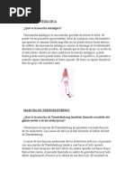 Marcha Trendelenburg: Análisis y Alteraciones | PDF | Pelvis | Sistema ...