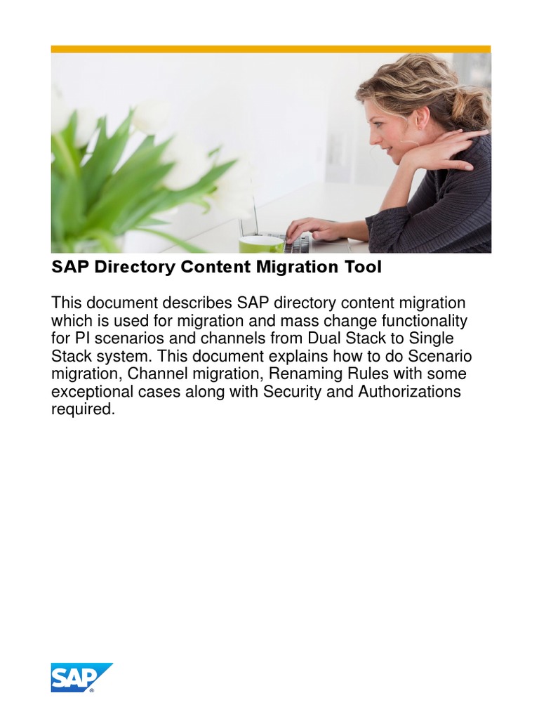 SAP Directory Content Migration Tool | PDF | Application Programming ...
