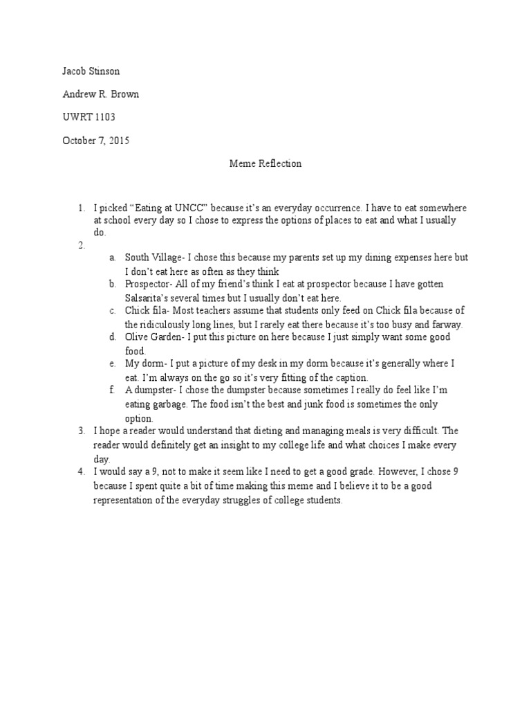 Meme Reflection | PDF