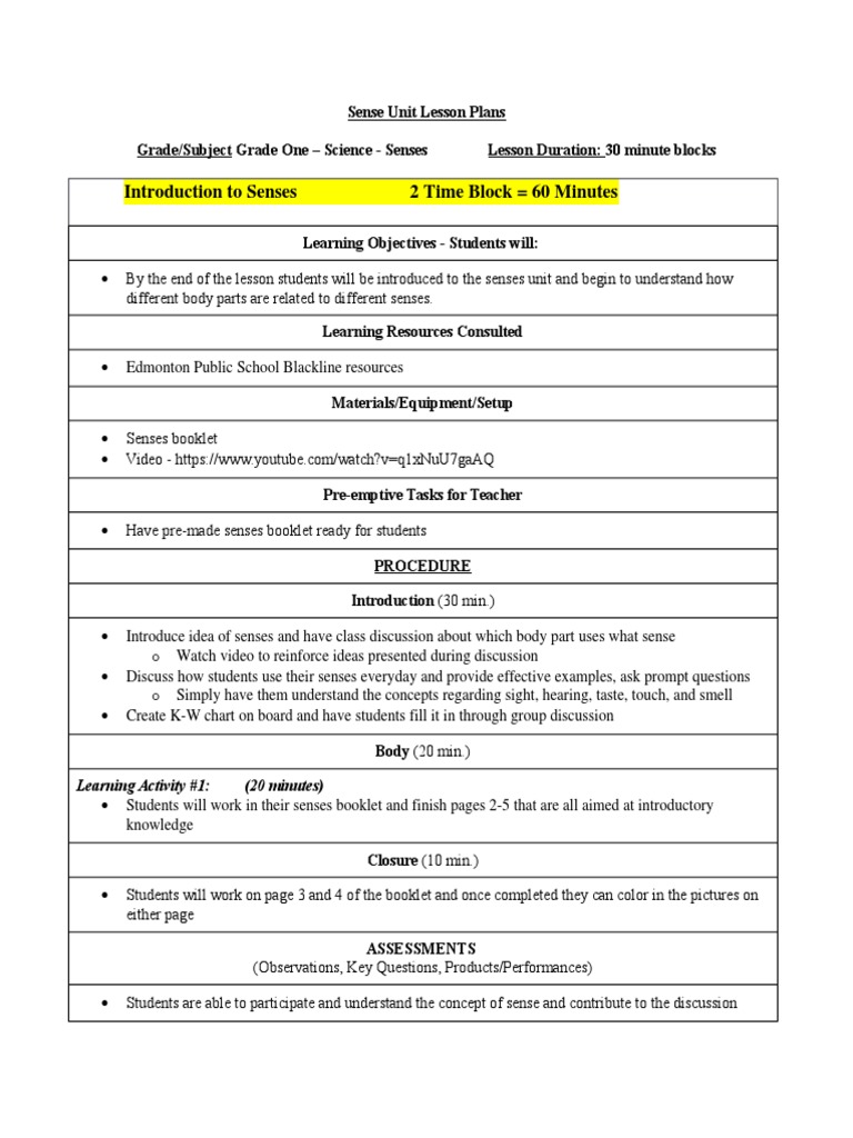 Lesson Plan Senses | PDF | Visual Impairment | Educational Assessment