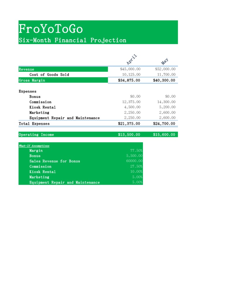 FroYoToGo Six-Month Financial Plan | PDF