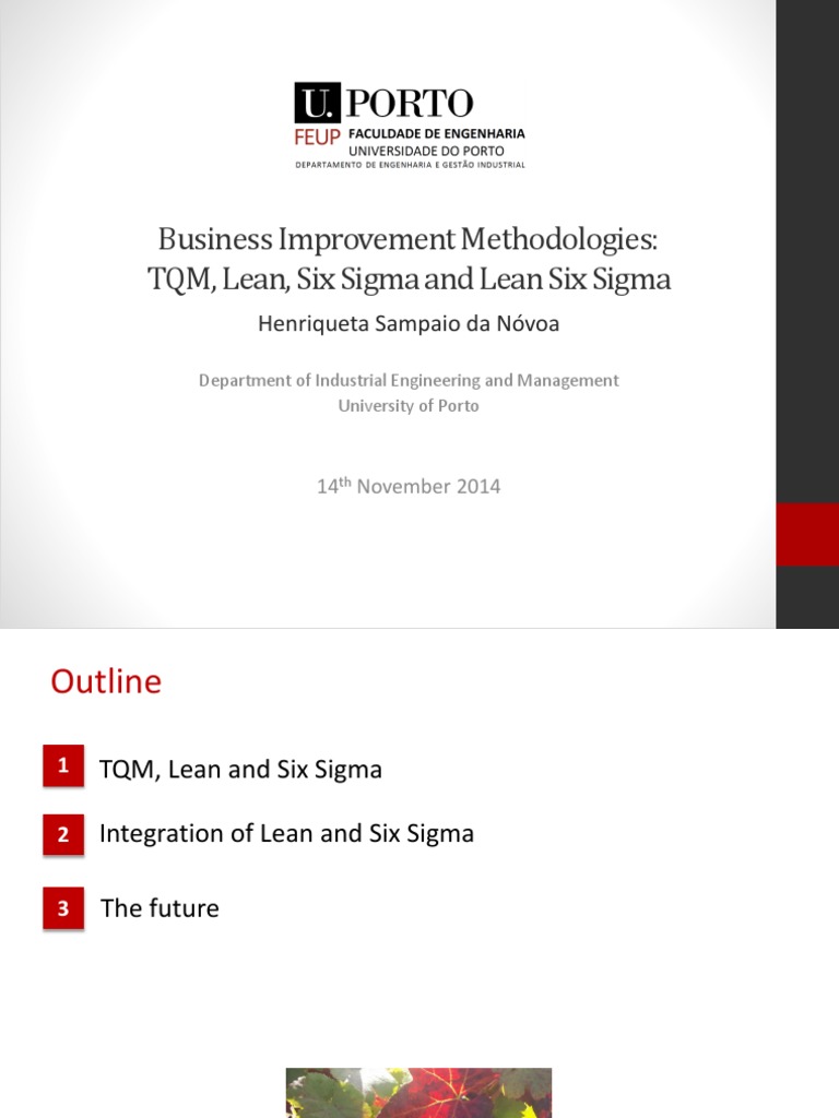Lean Six Sigma Students Pdf Six Sigma Lean Manufacturing