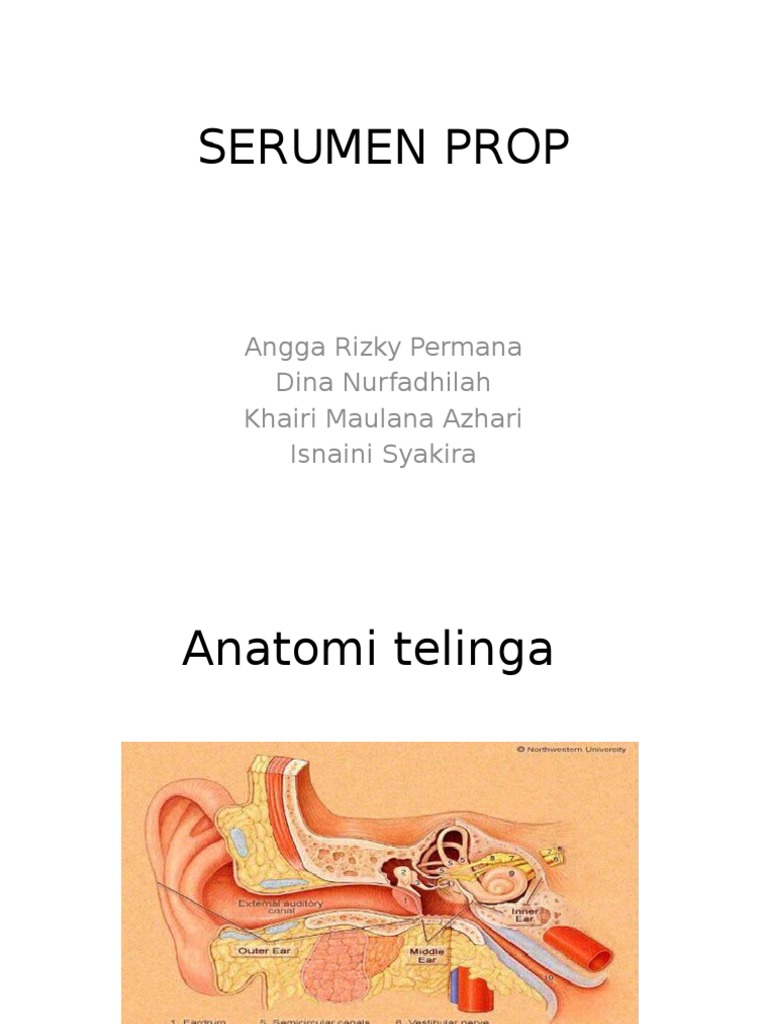 Serumen Prop | PDF