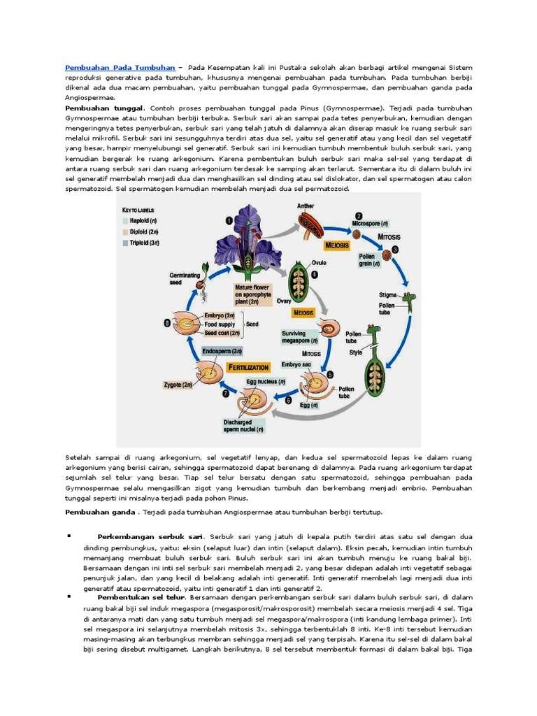 Polinasi | PDF | Griya & Taman | Sains & Matematika