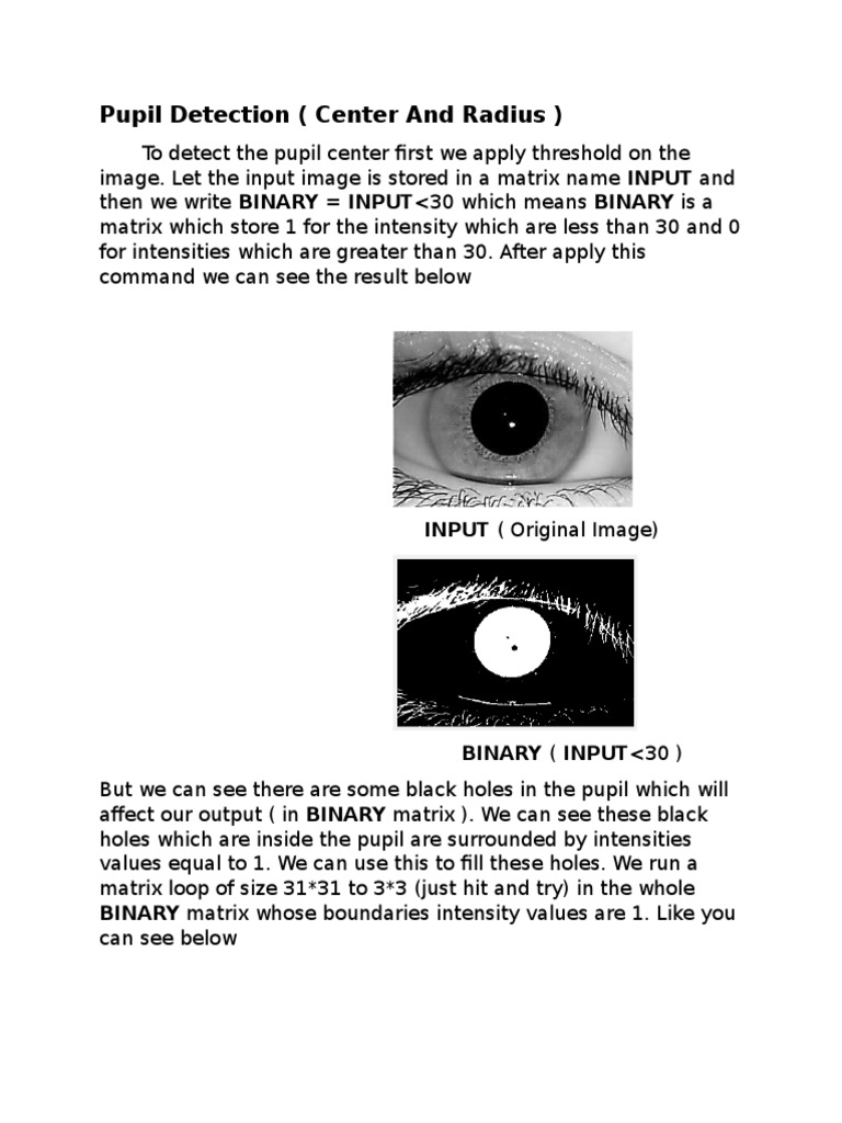 Pupil Detection (Center and Radius) : Binary (Input 30) | PDF | Image ...