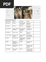 Muscle OIA | PDF | Vertebral Column | Vertebra