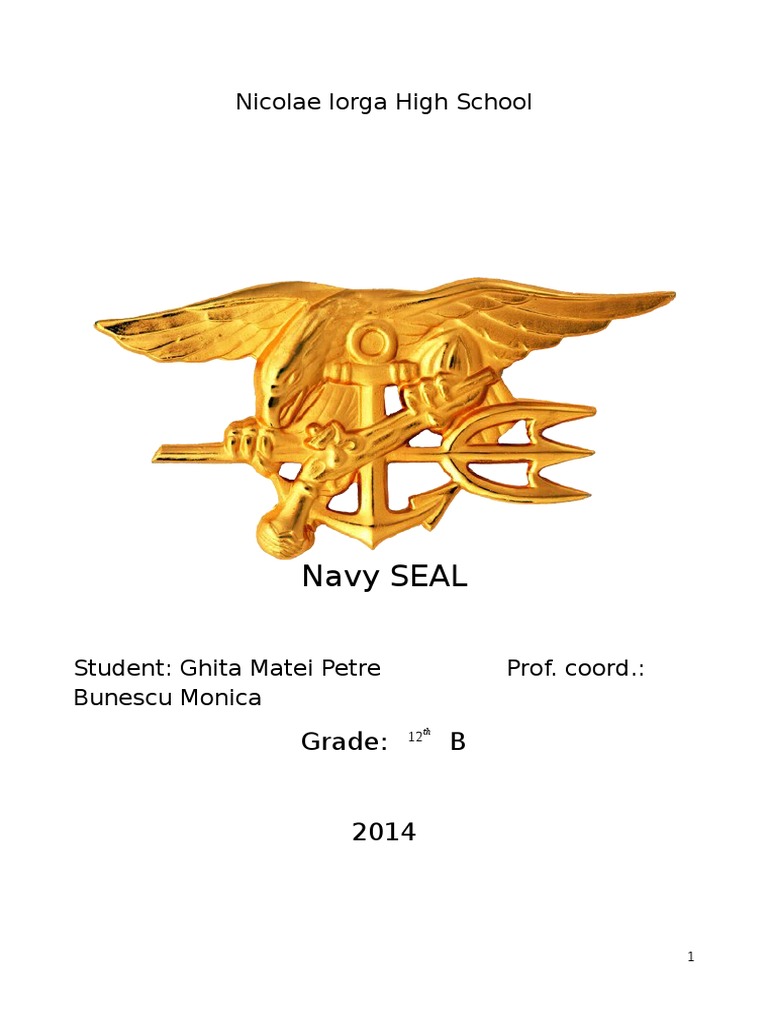 Navy SEAL | PDF | United States Navy Sea Ls | United States Navy