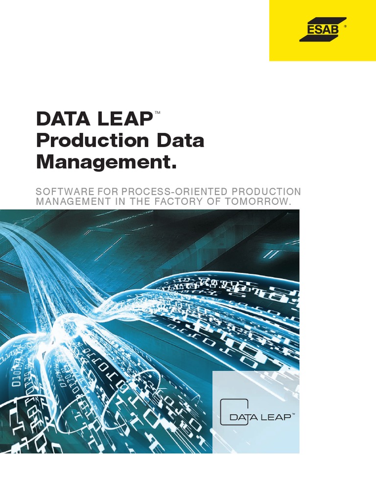 Esab Data Leap | PDF | Enterprise Resource Planning | Databases