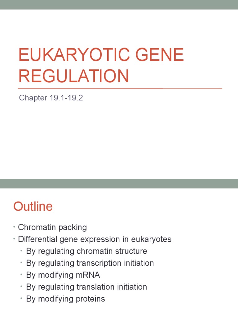 Eukaryotic Gene Regulation Overview | PDF | Messenger Rna | Chromatin