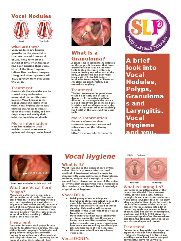 Brochure | PDF | Gastroesophageal Reflux Disease | Otorhinolaryngology
