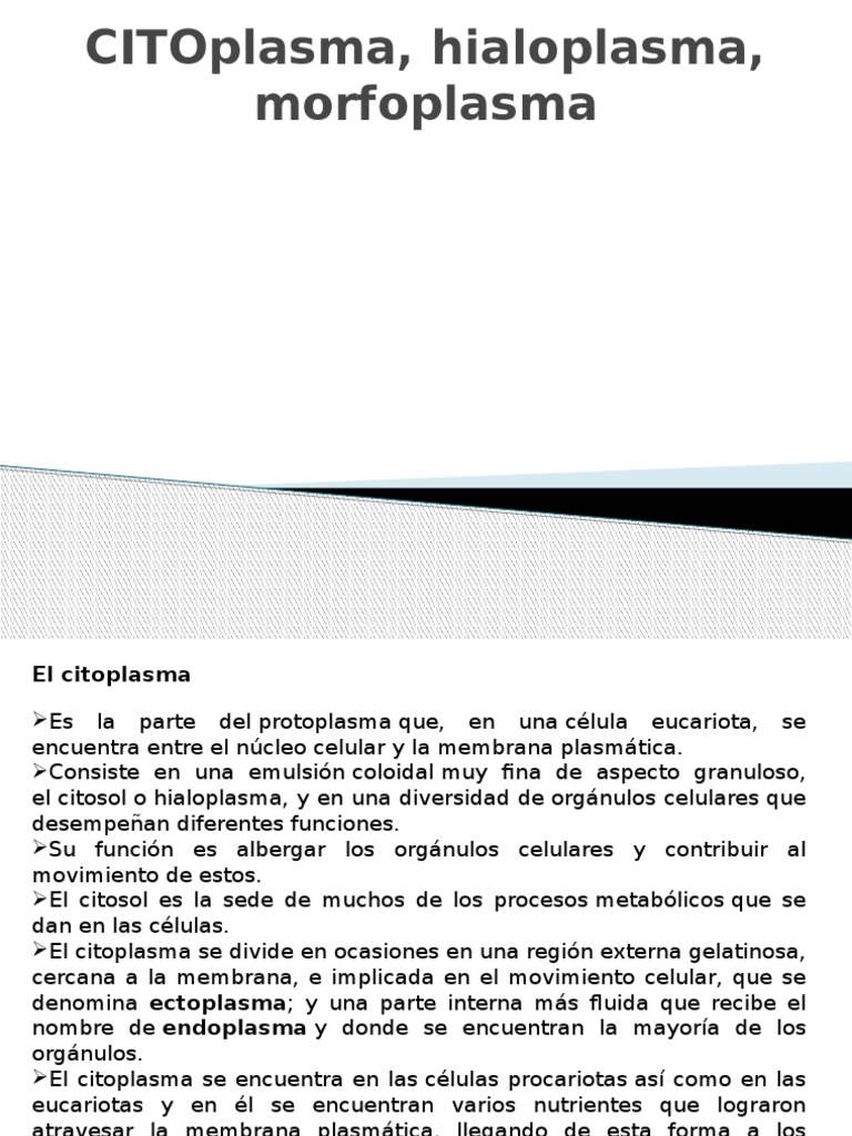 CITOplasma, Hialoplasma, Morfoplasma | PDF | Citosol | Citoplasma