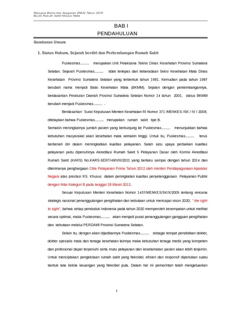RBA Puskesmas Khusus Mata 2015 | PDF