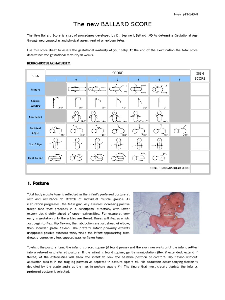 Ballard Score | PDF | Anatomical Terms Of Motion | Elbow