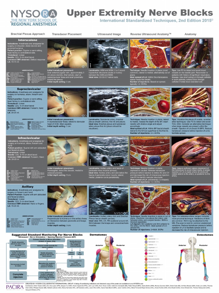 NYSORA Educational Poster UE V8 | PDF