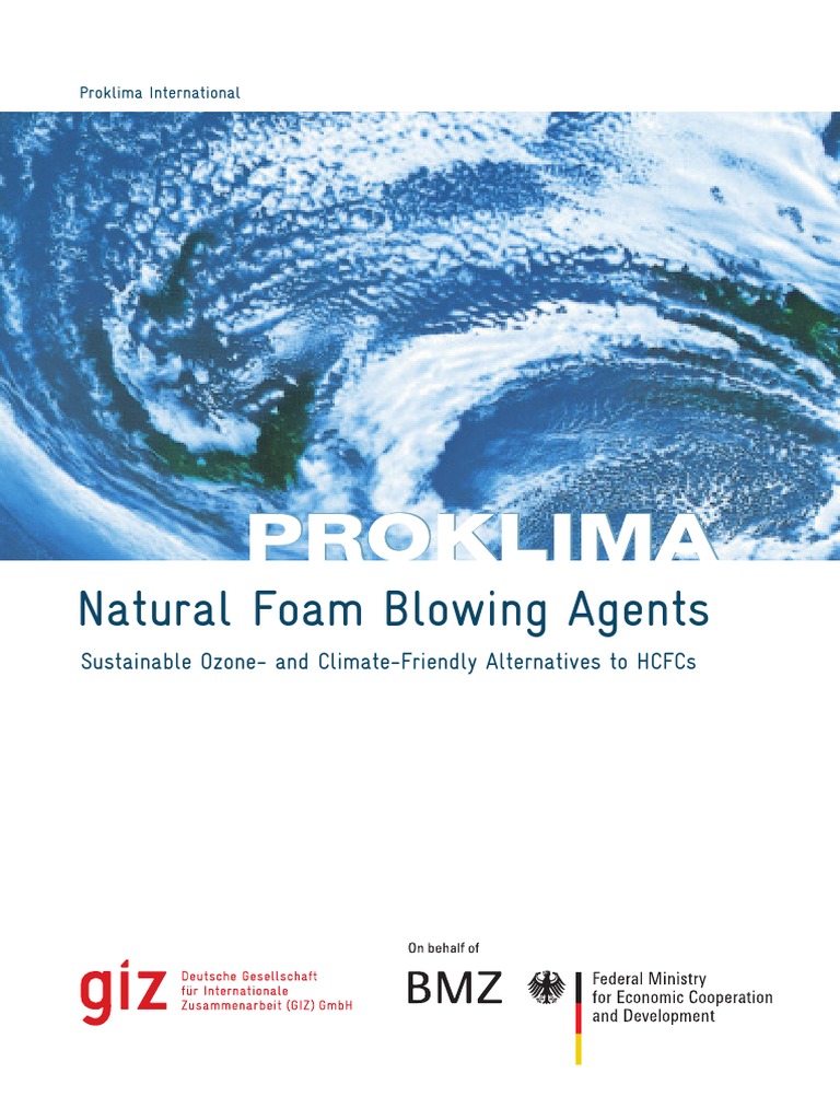 Natural Foam Blowing Agents | Download Free PDF | Chlorofluorocarbon ...