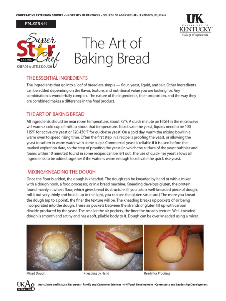 art of baking bread | Breads | Dough | Free 30-day Trial | Scribd