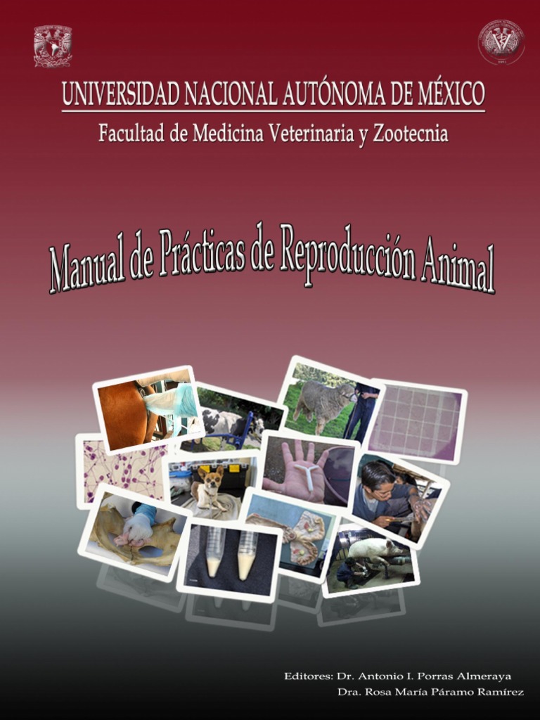 Manual de Practicas de Reproduccion Animal | PDF