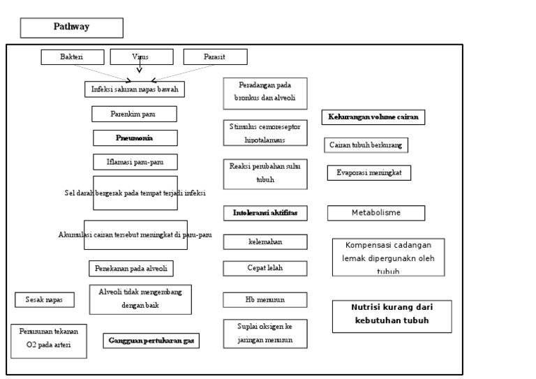 Pathway Pneumonia | PDF
