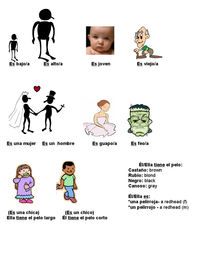 Descipciones - From Realidades 1, 5B | PDF