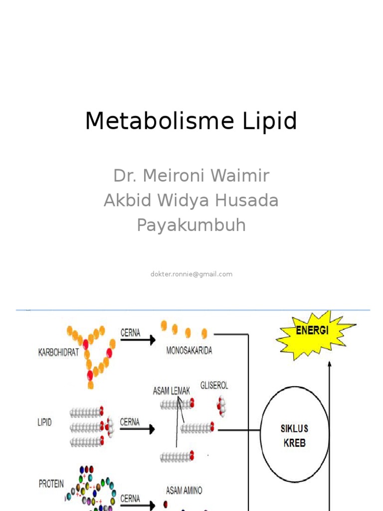 Metabolisme Lipid | PDF | Kesehatan Holistik